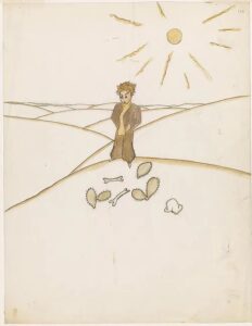 18+ Timeless Life Lessons from The Little Prince Book - Knowledge Lover